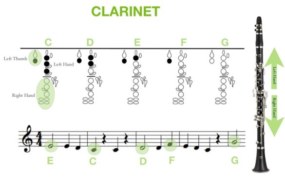 Understanding Clarinet Notes: A Comprehensive Guide ...