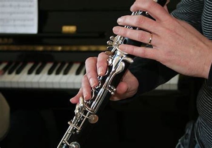 How Easy Is It to Learn Clarinet? - Musicalinstrumentworld.com